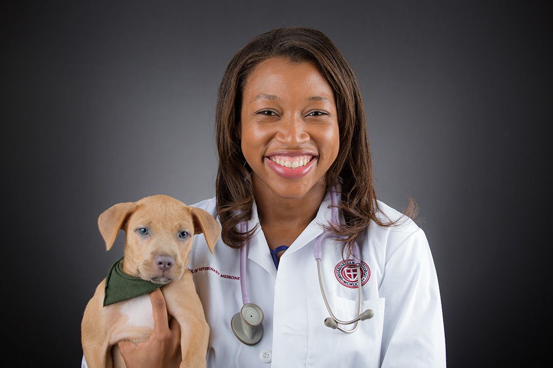 Apply to SGU Veterinary School | Admissions Overview